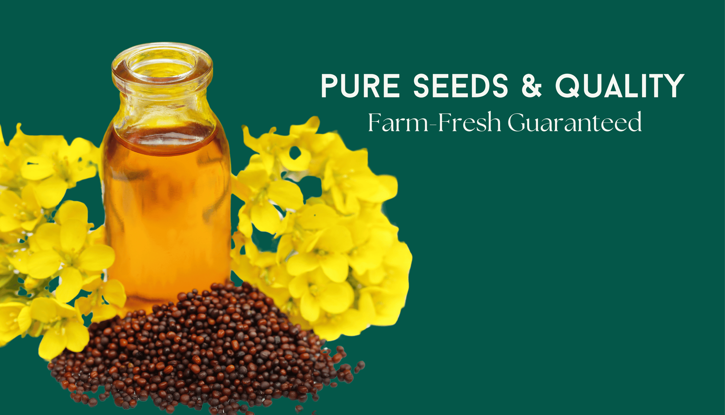 Cold pressed oils extracted on wooden churner using handpicked seeds ...